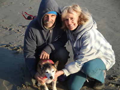 Caring for Aging Companion Animals – Straight from the Horse's Heart