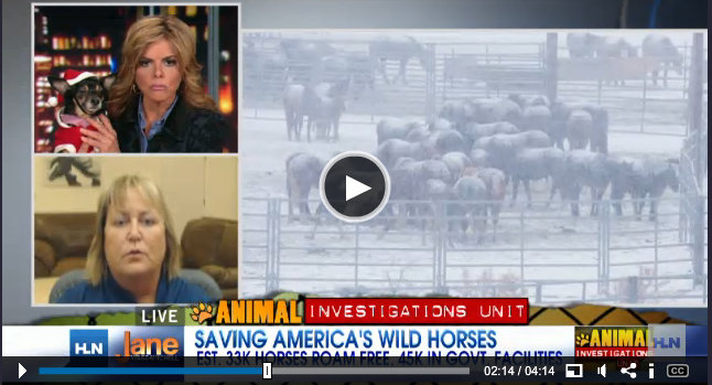 Carol Walker with Jane Velez-Mitchell – Straight from the Horse's Heart