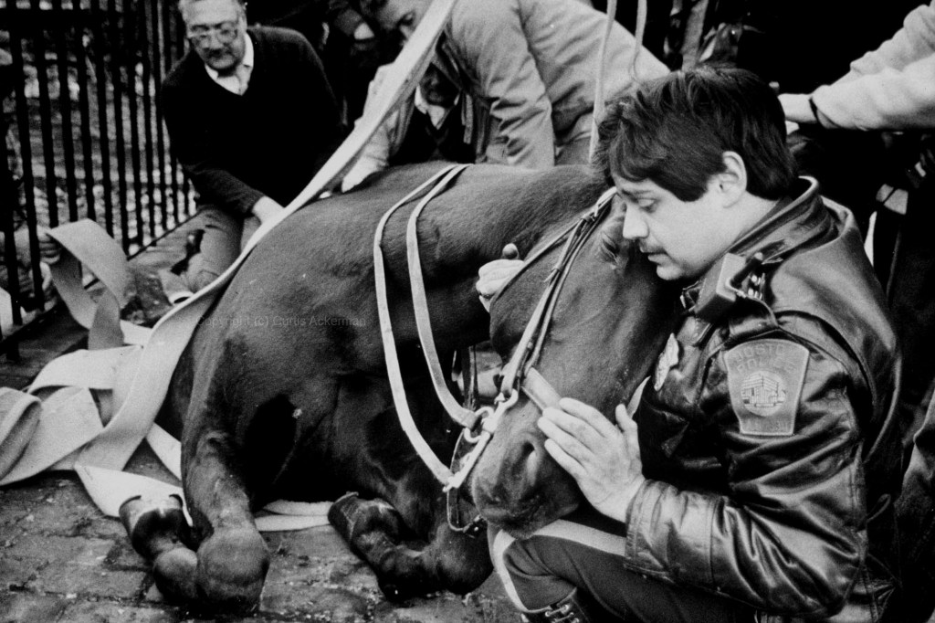 The Story Behind the Photo: An Officer and His Horse – Straight from ...