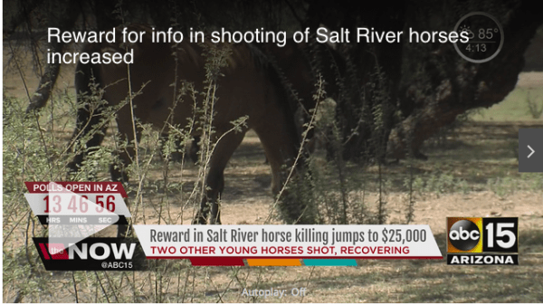 Reward Increased for Information Related to Shooting of Salt River Wild ...