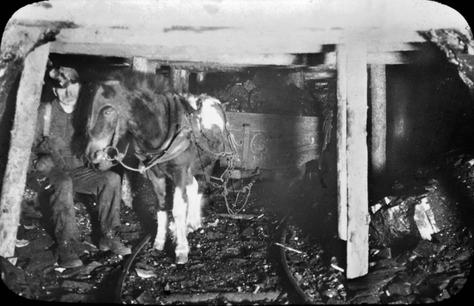 Happy Labor Day! And remember the horses & burros that have labored for ...