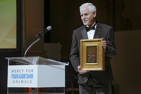 “Being a Bystander to Suffering Is Not an Option”– Jim Greenbaum ...