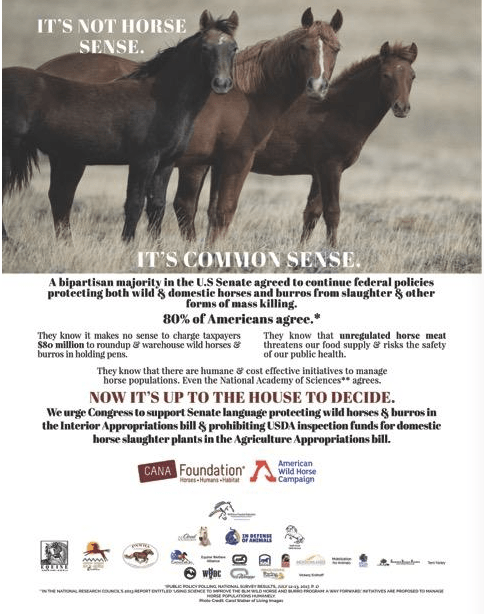 Alliance to Save America’s Wild Horses & Burros Announces Prominent Ad ...