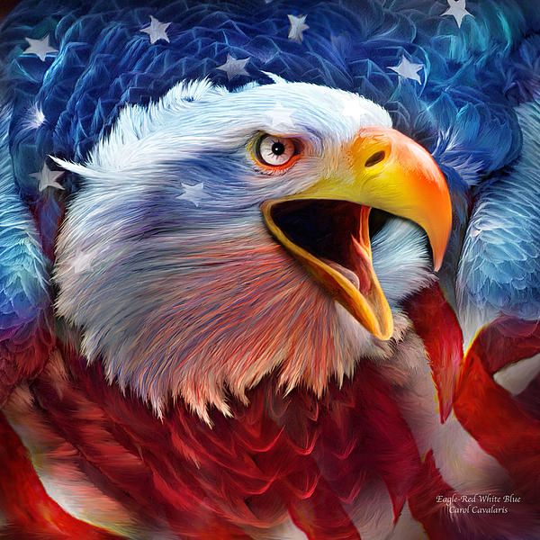 Ragged Old Flag – Straight from the Horse's Heart