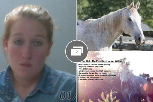 Alabama veterinary student arrested at rodeo, accused of selling ...