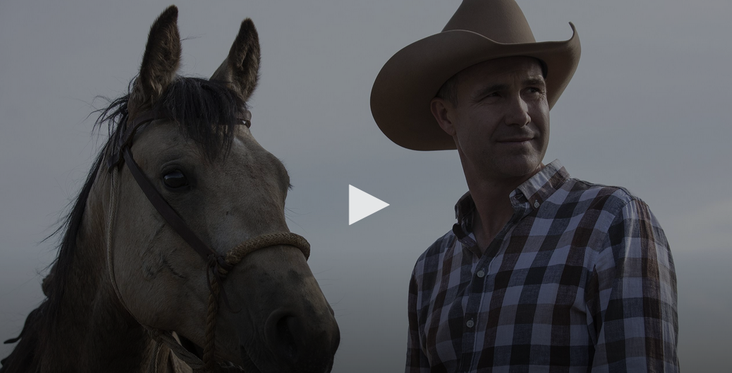 Feel Good Sunday: Equus “Story of the Horse” – Straight from the Horse ...