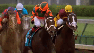 It’s time to take a hard look at horse racing and opportunities for ...
