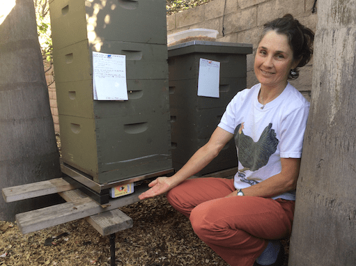 In Memoriam: Susan Rudnicki, wild horse & burro advocate – Straight ...