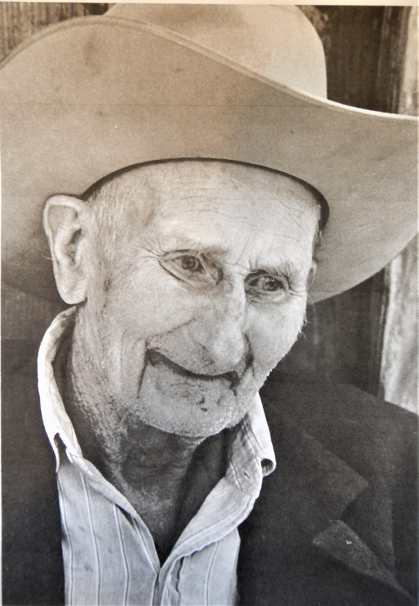 The American Heritage of Wild Horses – Straight from the Horse's Heart