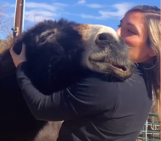 Feel Good Sunday: Video~Donkeys Smile And Sing When They See These ...